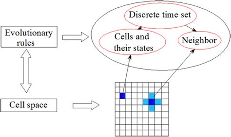 Relationship Of The Different Components Of Cellular Automata