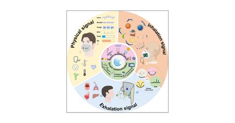 Functionalized Face Masks As Smart Wearable Sensors For Multiple Sensing Acs Sensors