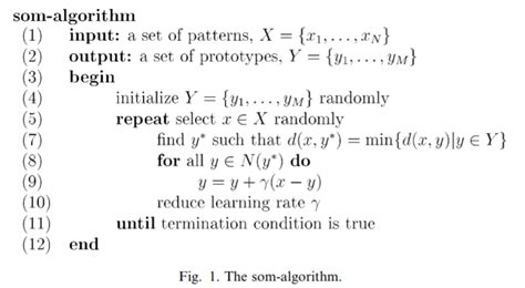 Self Organizing Map Anomaly Docs