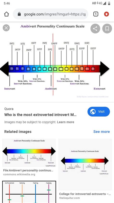 Pin By Aysun Bilgili On Intj Extroverted Introvert Extrovert Myers Briggs Personality Types