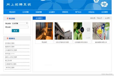 Aspnet 网上招聘系统 1313毕业设计源码讲解视频asp网上招聘系统 Csdn博客
