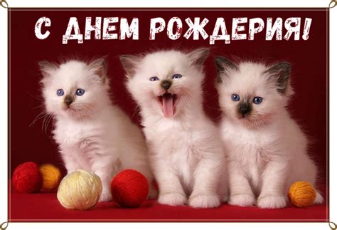 Открытки с днем рождения с котиками