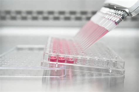 Elisa实验之仪器防冻的方法 Elisa试剂盒厂家代测价格牛血清生化试剂抗体培养基 江苏晶美生物官网