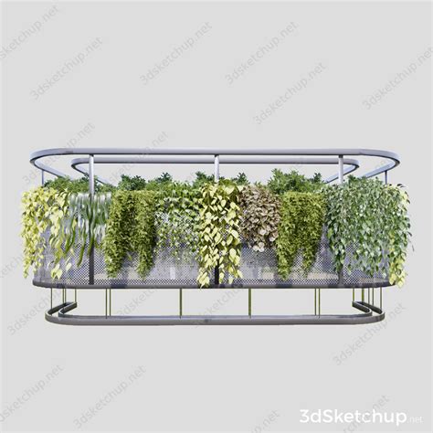 Plant Collection 1429947