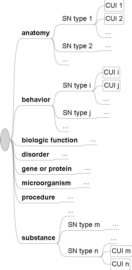 Hierarchical Illustration Of The Eight Semantic Classes With Some Of Download Scientific