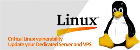 Critical Linux Vulnerability CVE In GNU C Library Glibc D Creation