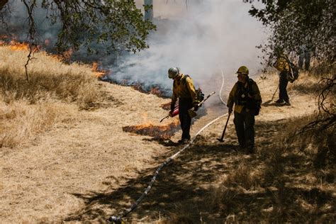 Forest Fire Prevention With Iot Sensors Fluxblog
