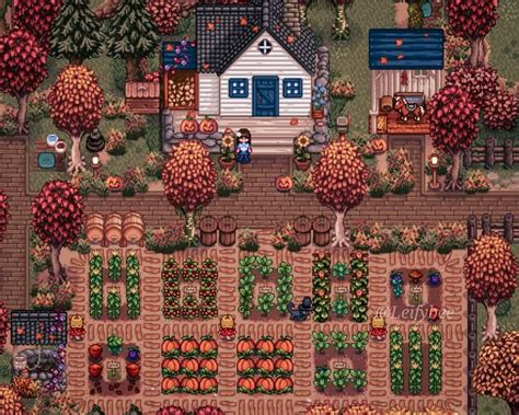 Vegetable Garden Aerial View