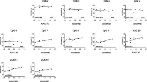 Identification Of A Novel Methylation Dependent Runx2 Regulatory