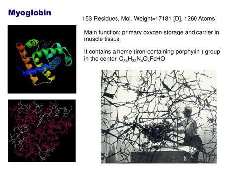 Ppt Conformation Networks An Application To Protein Folding