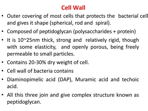 Bcterial Ultrastructure All Pptx