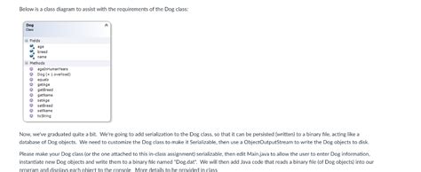 Solved Dogjava Public Class Dog Private String