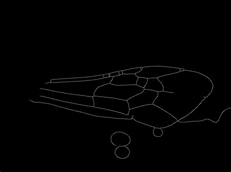 Python Which Image Quality Metric Should I Use In This Case Binary