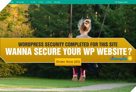 Luikangmk I Will Perform Wordpress Security Optimization In Your Website For 15 On