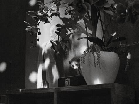 Cu Li Kh Ng Bao Gi Kh C L M Sao S Ng Trong Hi N T I Khi M I M C K T Trong Qu Kh T P