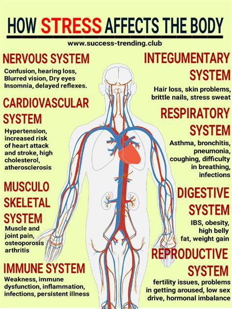 Scientifically Proven Effects Of Stress On The Body You Need To Know