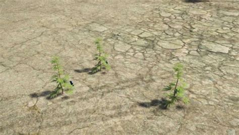 Qb Weed Planting Weed Qbcore Script