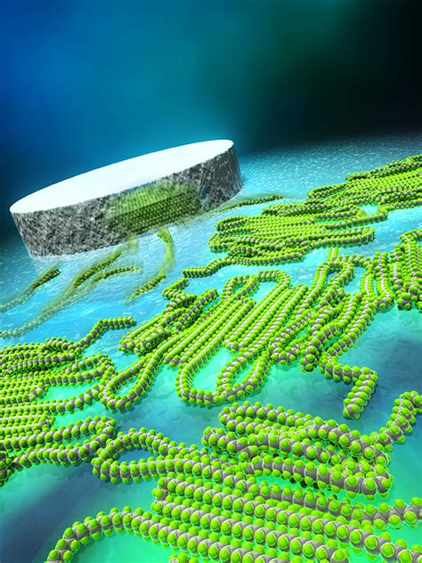 Scientific Cover Picture Illustration Services Colloids And Surfaces