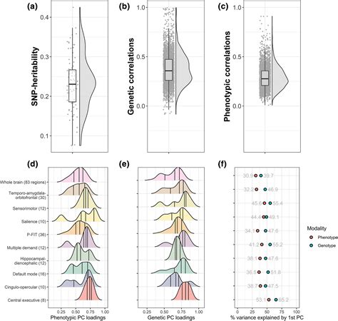 Human Brain Mapping Neuroimaging Journal Wiley Online Library