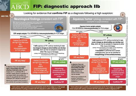 Diagnosing And Testing For FIP FIP Cats UK