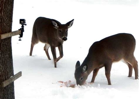 Gopro Operating Temperature Max Min Temp Tolerances • Storyteller Tech