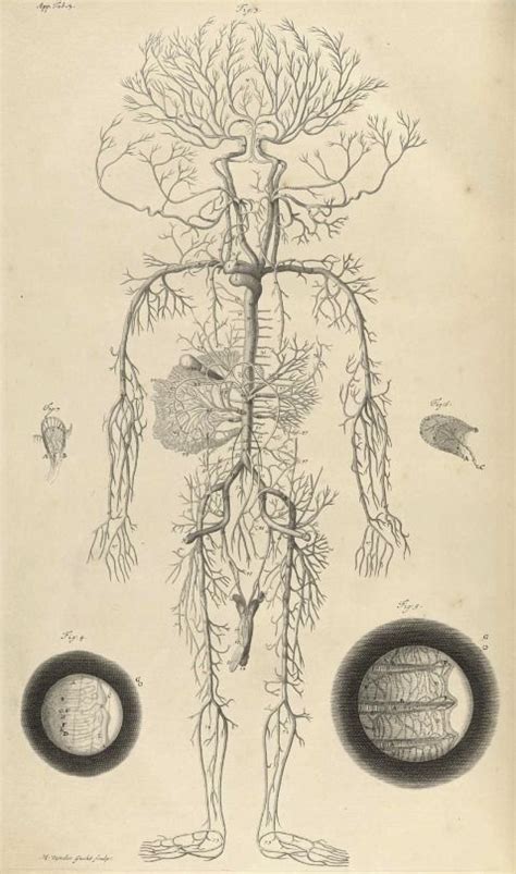 Magic Transistor Anatomy Art Vintage Medical Art Medical Illustration