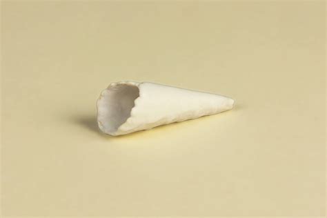 Mini Cono Choco Blanco Uhmami