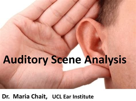Psychology Of Auditory Scene Analysis Lecture Notes Psychology Docsity