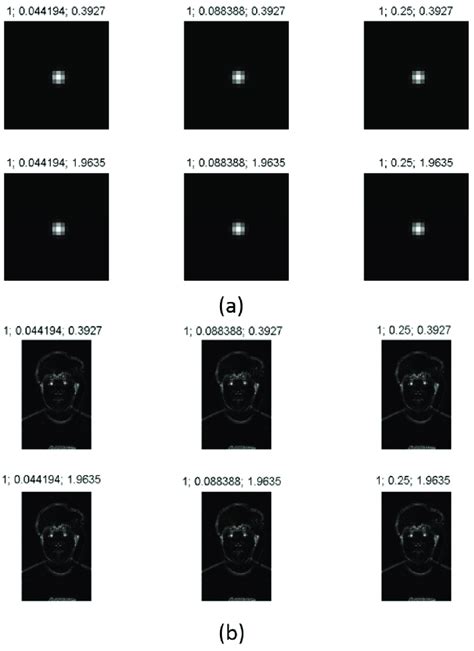 A Magnitude Of Gabor Filtered Kernels At One Scale 1 Two Download Scientific Diagram