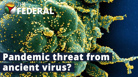 Scientists Revive Almost Year Old Zombie Virus Buried In Ice Title