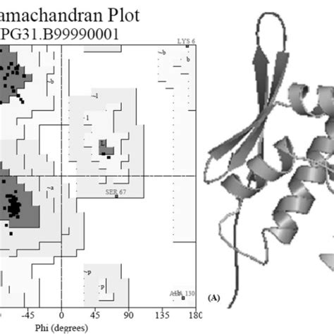 Model Refinement And Steriochemical Validation Of Modeled Protein A