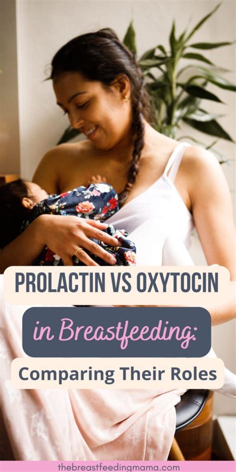 Prolactin Vs Oxytocin In Breastfeeding Comparing Their Roles The