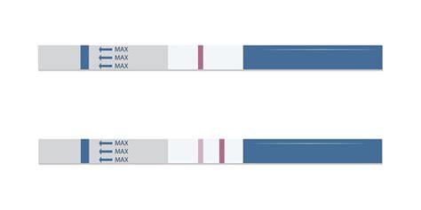 다른 임신 테스트의 집합 하나와 두 줄무늬 양성 부정적인 여성 생식 개념 흰색 배경에 고립 벡터 그림입니다 0명에 대한 스톡