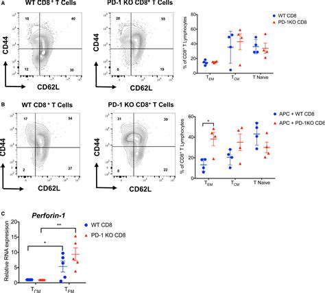 PD Expression On CD T Cells Regulates Their Differentiation Within Lung Allografts And Is