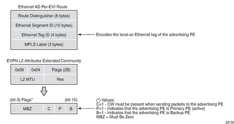 Ethernet Virtual Private Networks