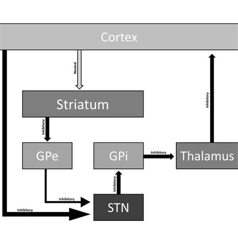 Catatonia Case Report At Angela Rich Blog