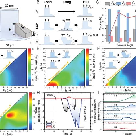 A Geometrical Parameters Of The Proposed Adhesive Structure B Three