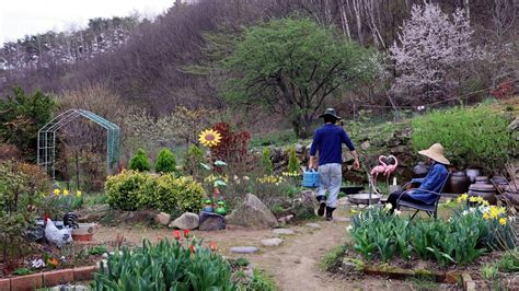 심고 또 심고 신나는 산골생활~ Youtube