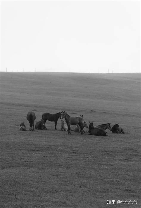 海子与《九月》 知乎