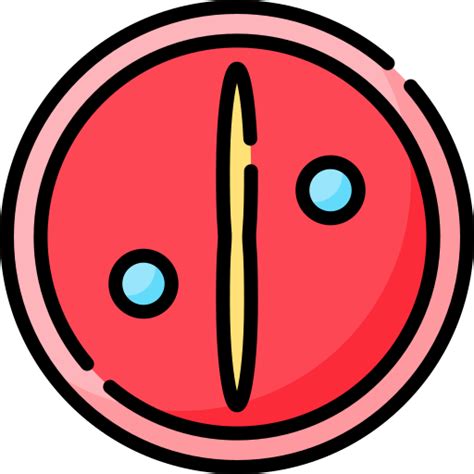 Ícone De Zigoto Special Lineal Color