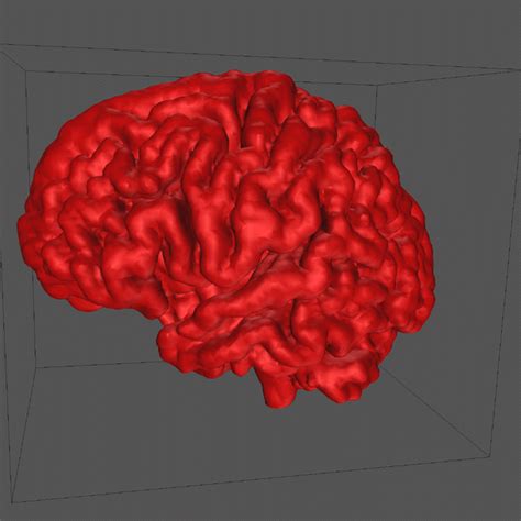 Approaches To Modelling The Surface Of The Human Cortex