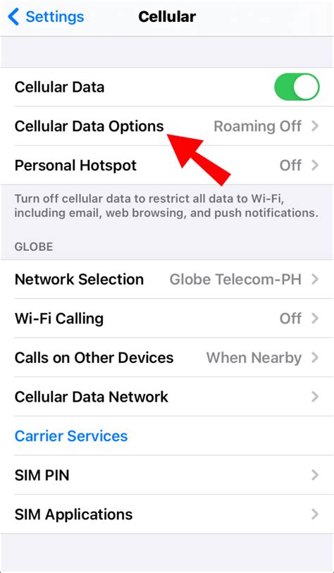 Could Not Activate Cellular Data Network Fixes