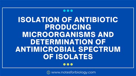 Isolation Of Antibiotic Producing Microorganisms