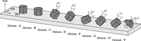 Visualisation Of Orientations Examined During All Experiments