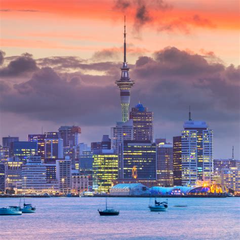 Does New Zealand Have Vat Numbers At Glen Kyser Blog