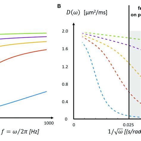 Intracellular Diffusivity And Cell Size A The Oscillation Download Scientific Diagram