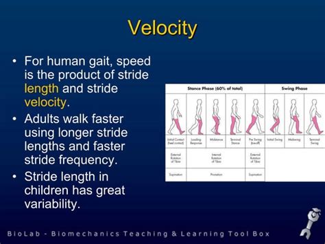 introduction to linear kinematics ppt running and jogging fitness