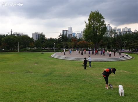 우리는 댄싱퀸~ 춤으로 하나 되는 일자산 생활체육 프로그램 내 손안에 서울 서울이야기 시민소통 정보소통광장