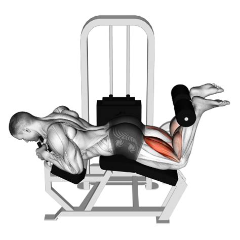 Butt Kickers Video Exercise Guide Tips And Variations