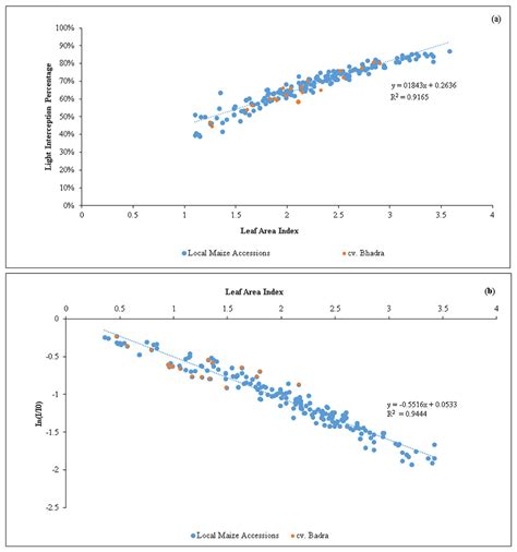 Will Future Maize Improvement Programs Leverage The Canopy Light Interception Photosynthetic